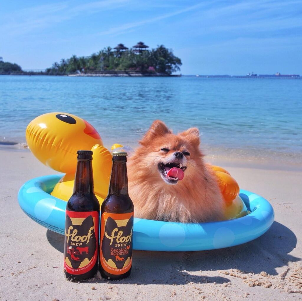 FLooF Brew – FLooF