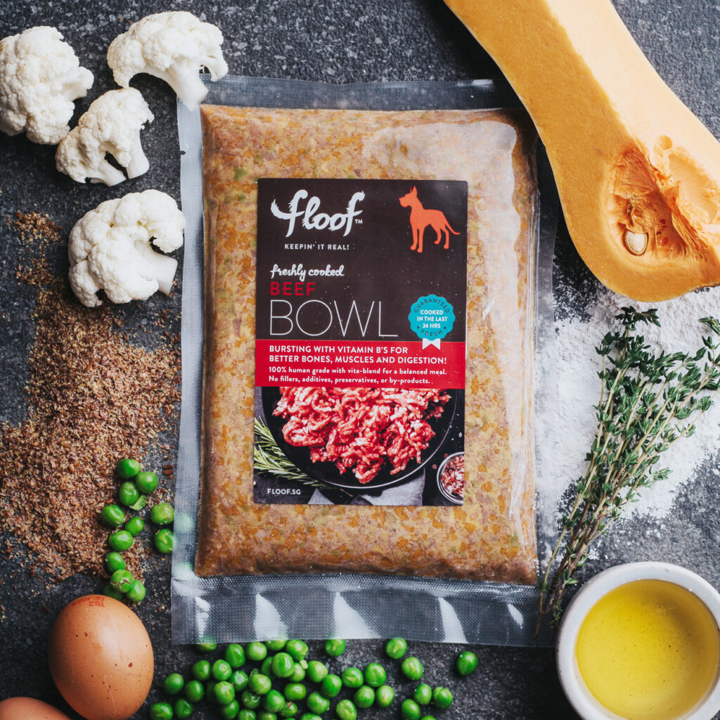 Beef Bowl – FLooF